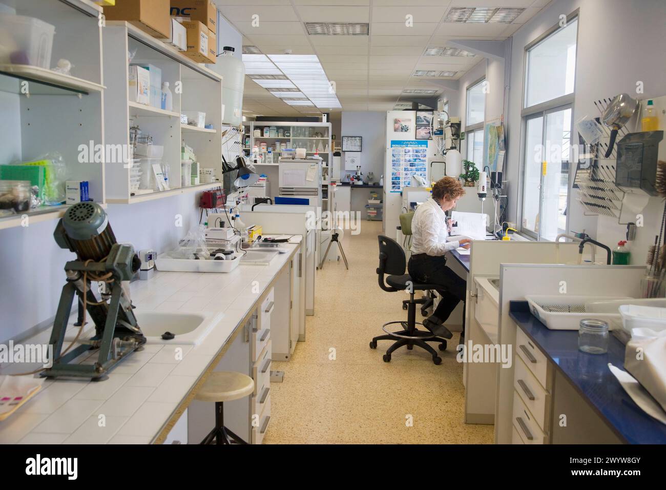 Investigacion desarrollo hi-res stock photography and images - Alamy