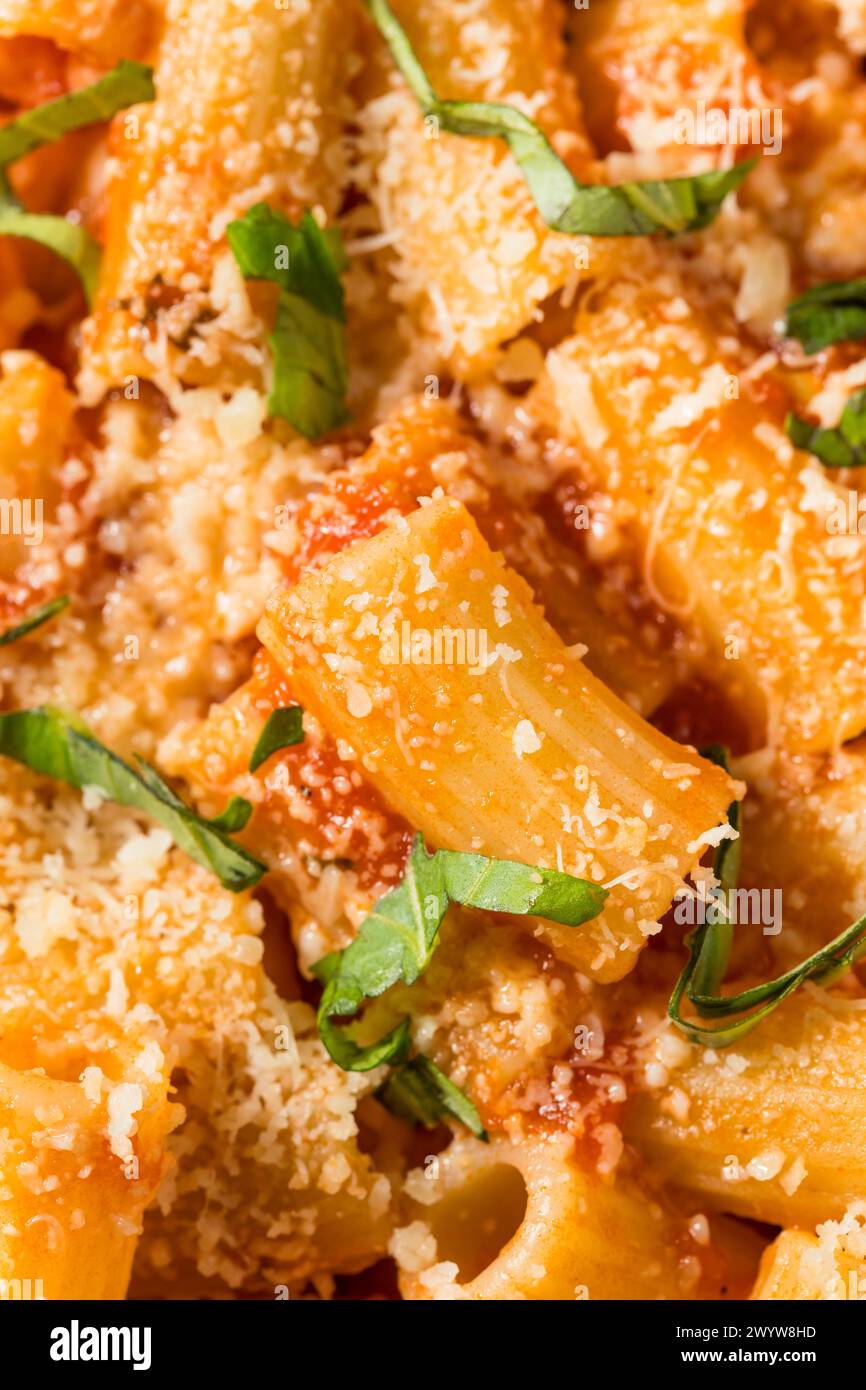 Homemade Italian Maccheroni Pasta with Red Sauce and Basil Stock Photo ...