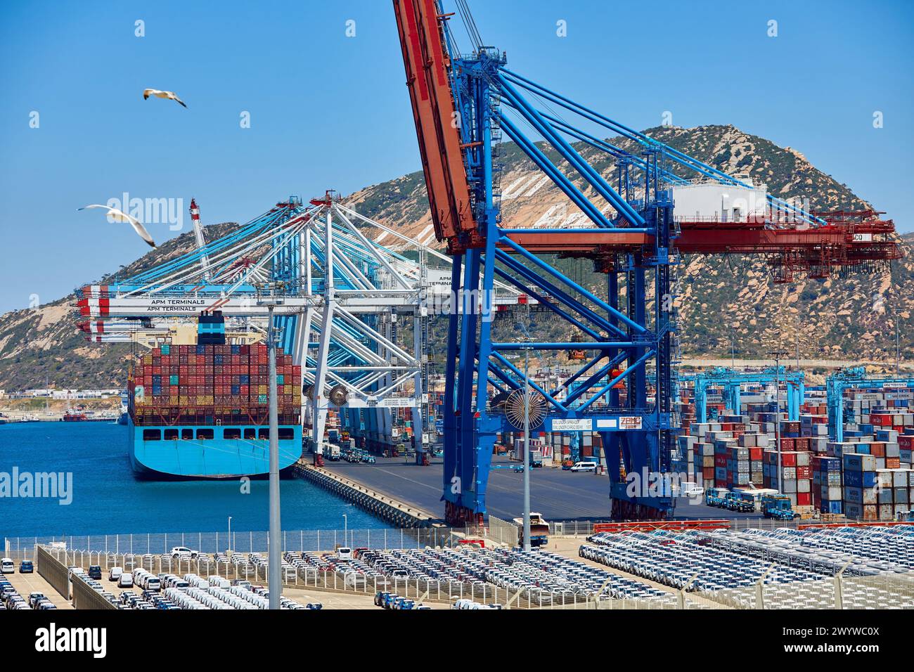Container ship, Commercial Port of Tangier MED, Strait of Gibraltar ...