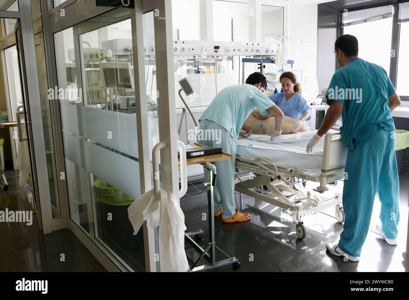 Box, Resuscitation unit. Hospital Universitario de Gran Canaria Doctor ...