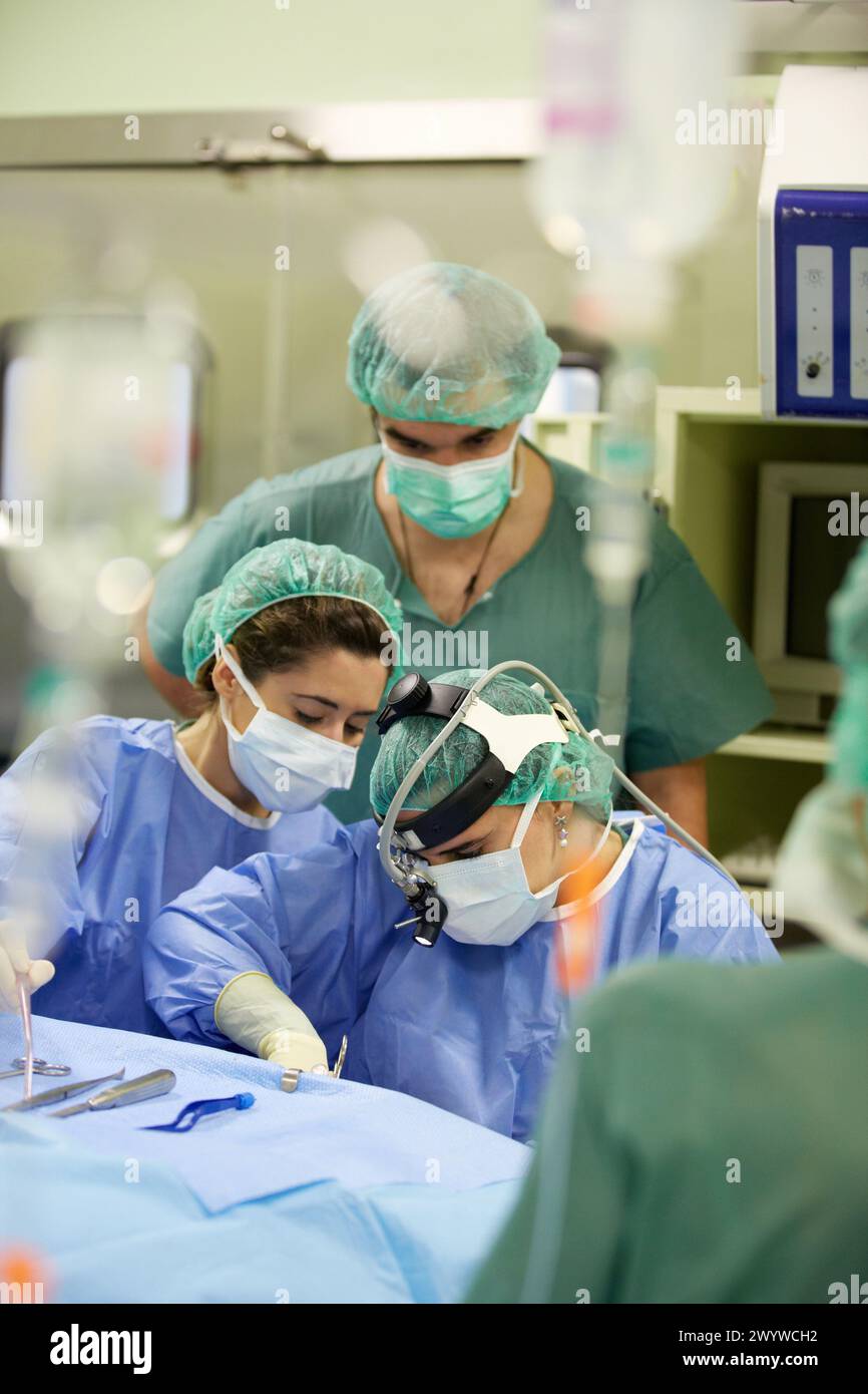 Tonsillectomy, Surgeons performing a tonsillectomy tonsil removal ...