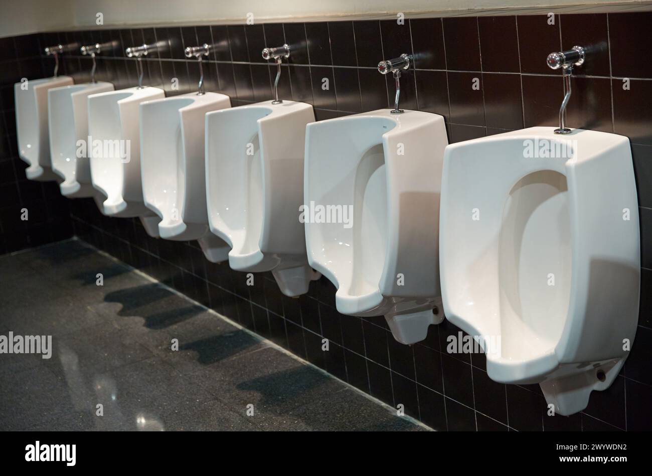 Sanitary toilets. BEC. Bilbao Exhibition Centre. Barakaldo. Bizkaia ...