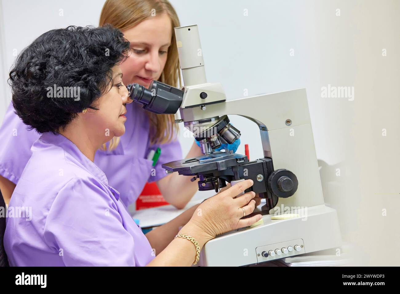 Screening, Cytology, Anatomic Pathology, Hospital Donostia, San ...