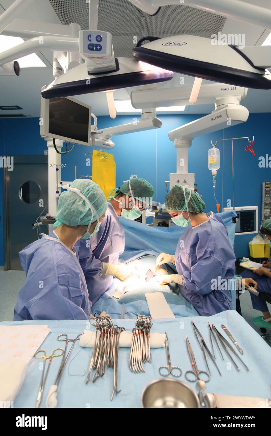 Abdominal Hernia Surgery, Surgeon, General Emergency Surgery, Operating ...