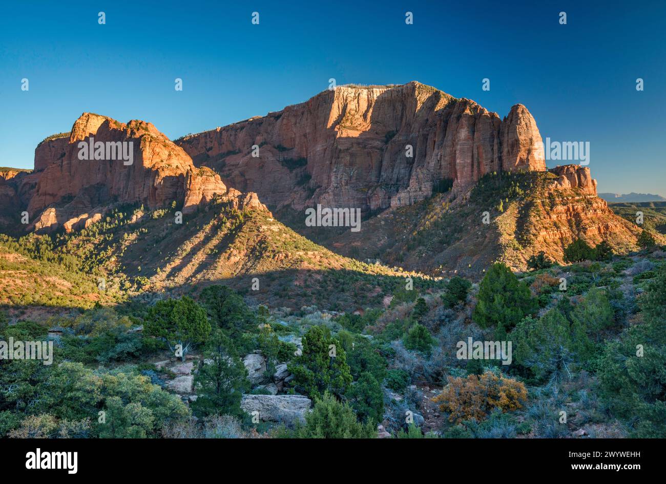 Timber Top Mountain, Shuntavi Butte, view from Kolob Canyons overlook ...