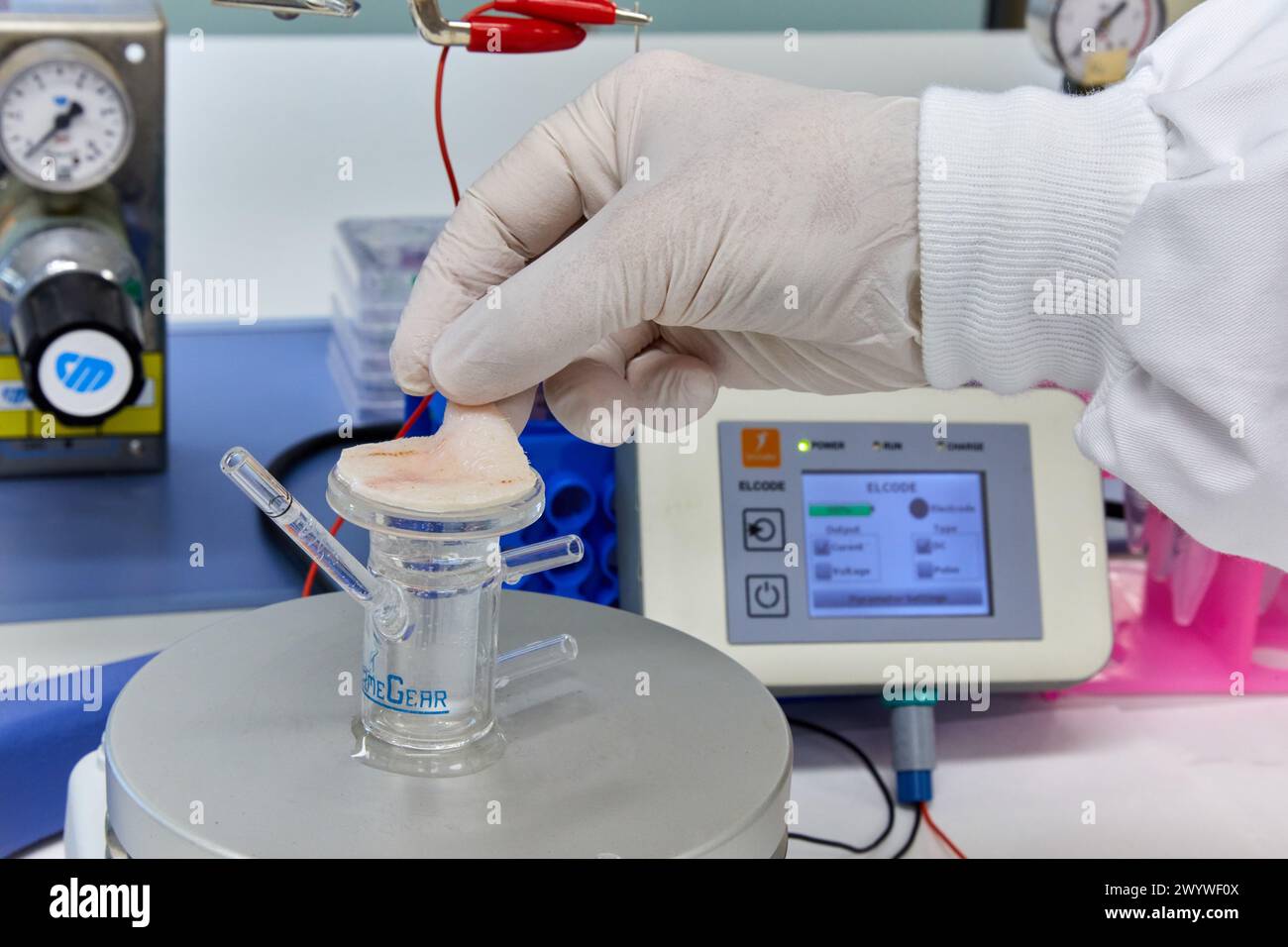 Elcode is a technological asset that consists of an electrode ...