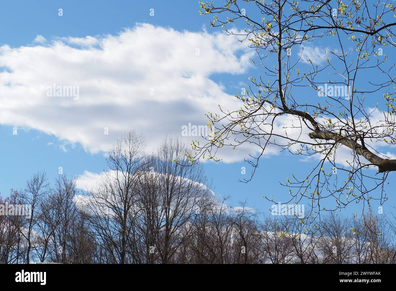 Spring colors are all around us Stock Photo - Alamy