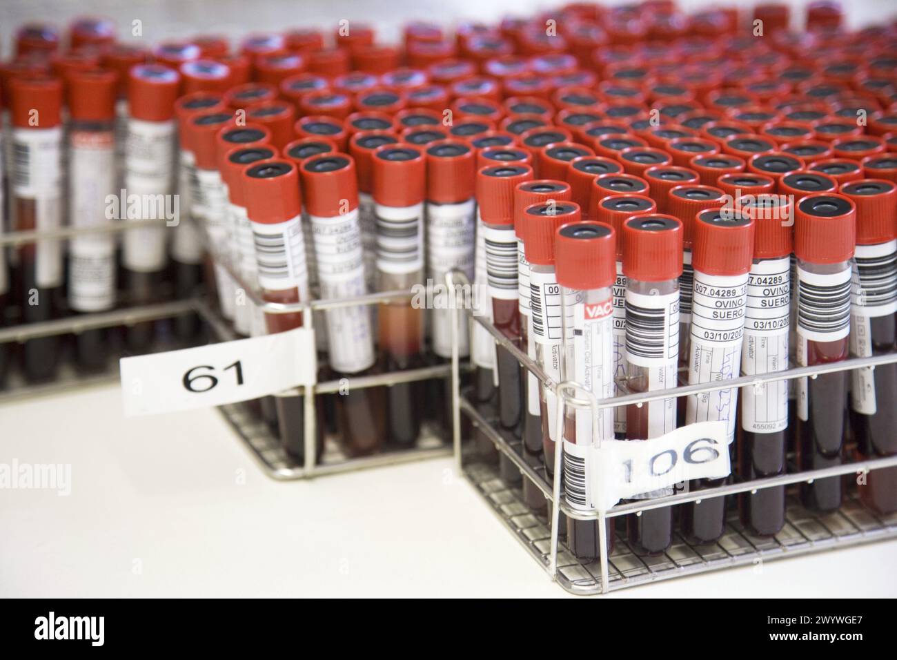 Department of animal production and health hi-res stock photography and ...