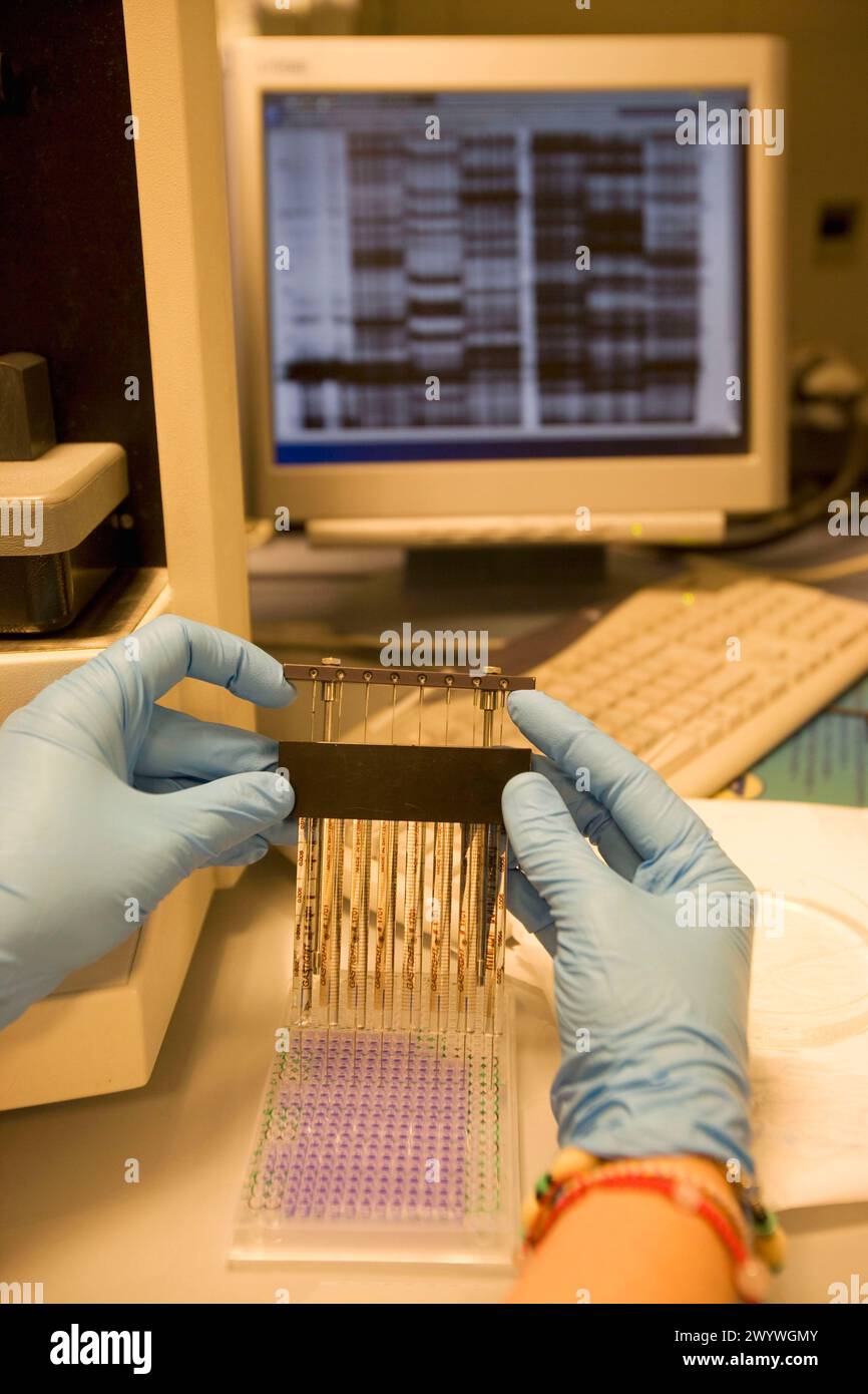 Polyacrylamide gel electrophoresis hi-res stock photography and images ...