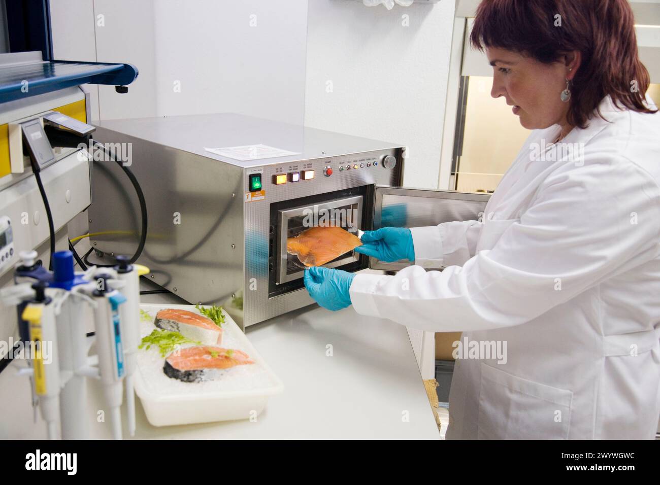 Microbiology laboratory. Light pulses technology for food preservation (fishing products ...