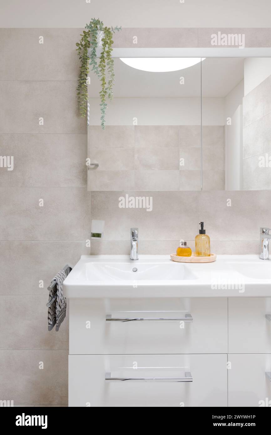 Interior of a modern bathroom. Front view of the sinks with a mirror ...