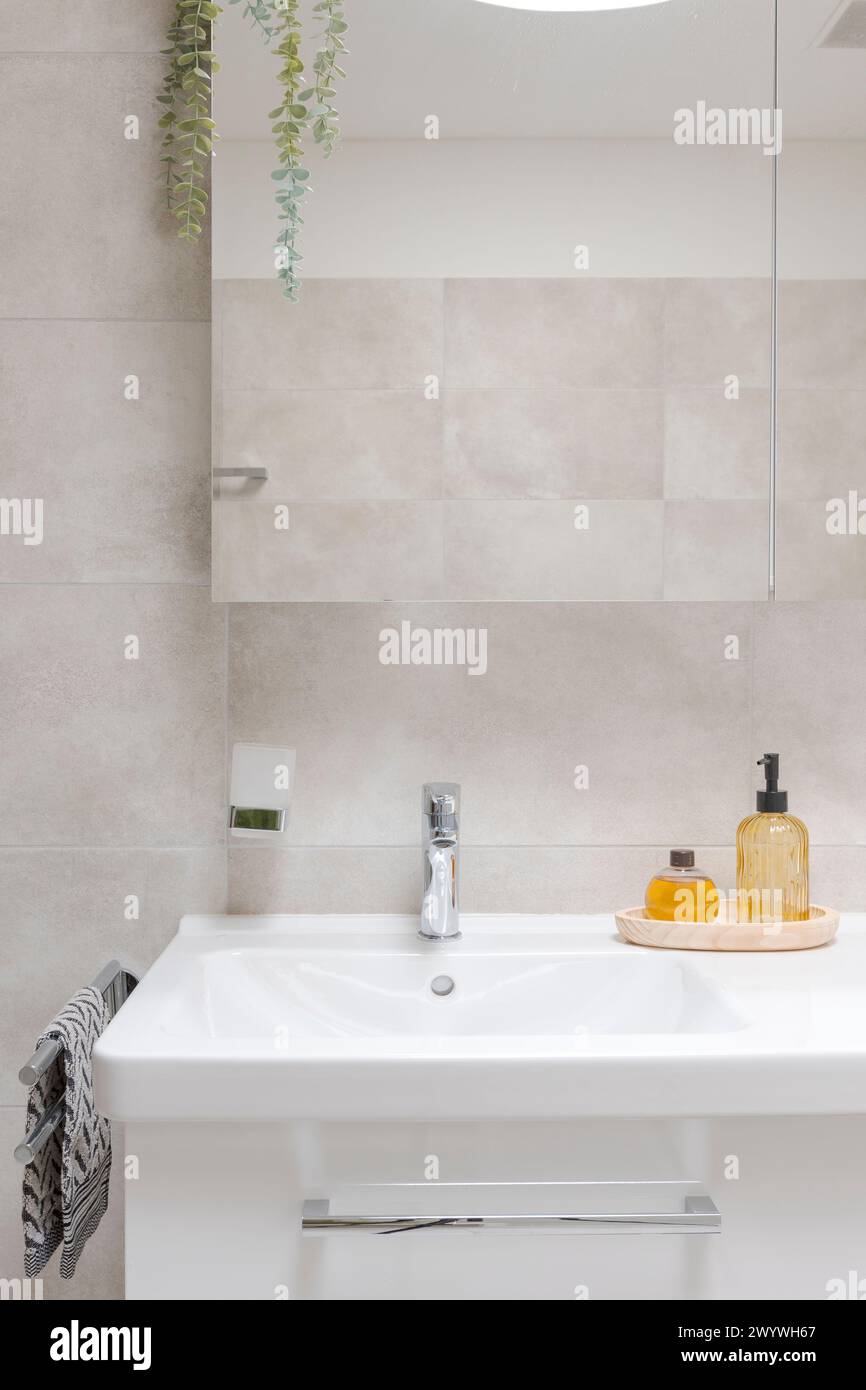 Interior of a modern bathroom. Front view of the sinks with a mirror ...