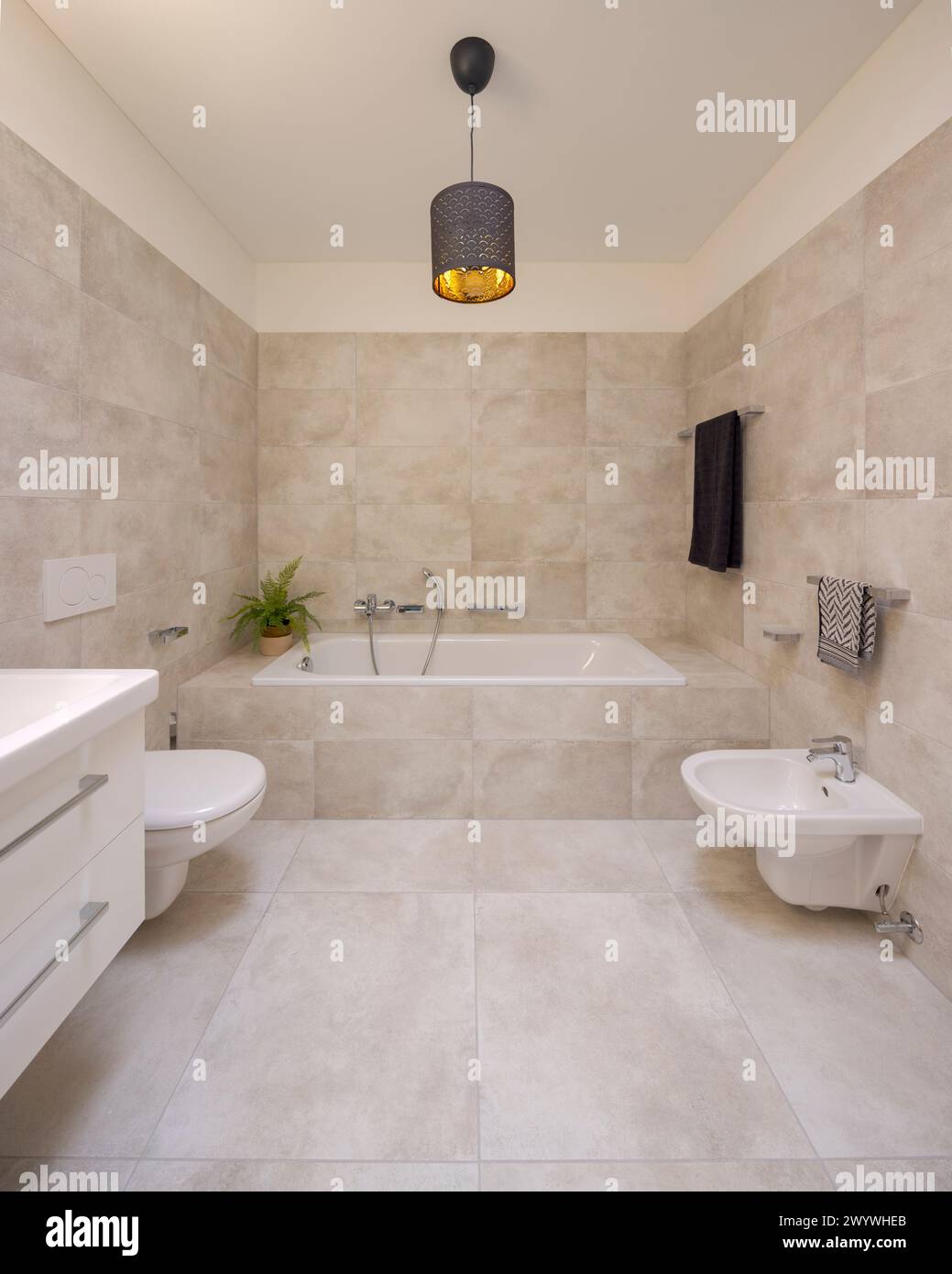 Front view of the newly renovated modern bathroom with a bathtub and a ...