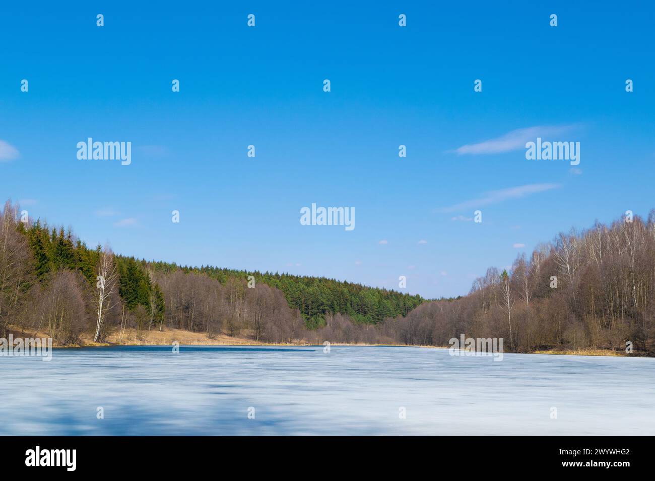 The ice covering the lake in the forest is melting. Natural landscape ...