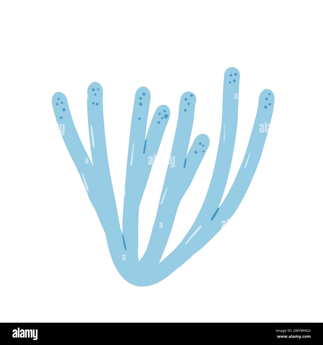 Coral reef isolated on white background. Sea underwater elements ...