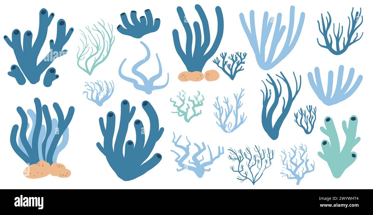 Coral reef set isolated on white background. Sea underwater elements ...