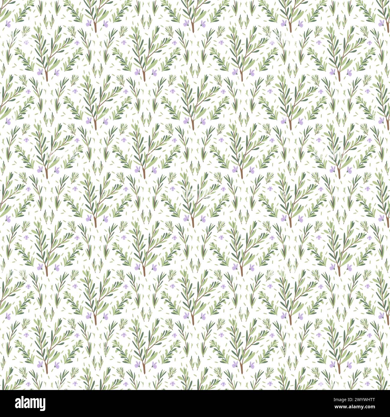 Rosemary herbs seamless pattern. Rosemary plant green leaves repeat background. Botanic endless ...