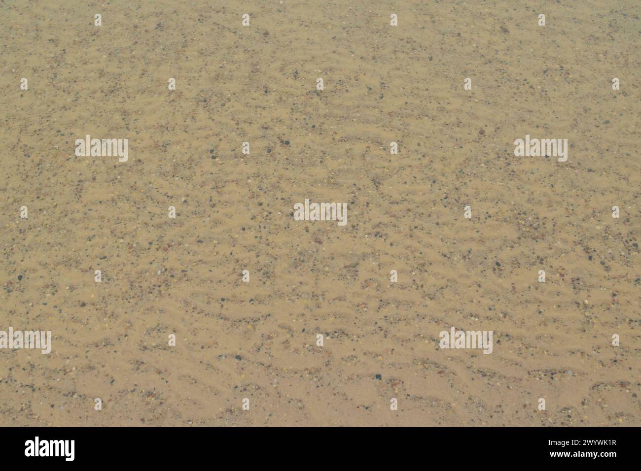 Sandy lake bottom underwater. Natural backgrounds and textures. Clear ...