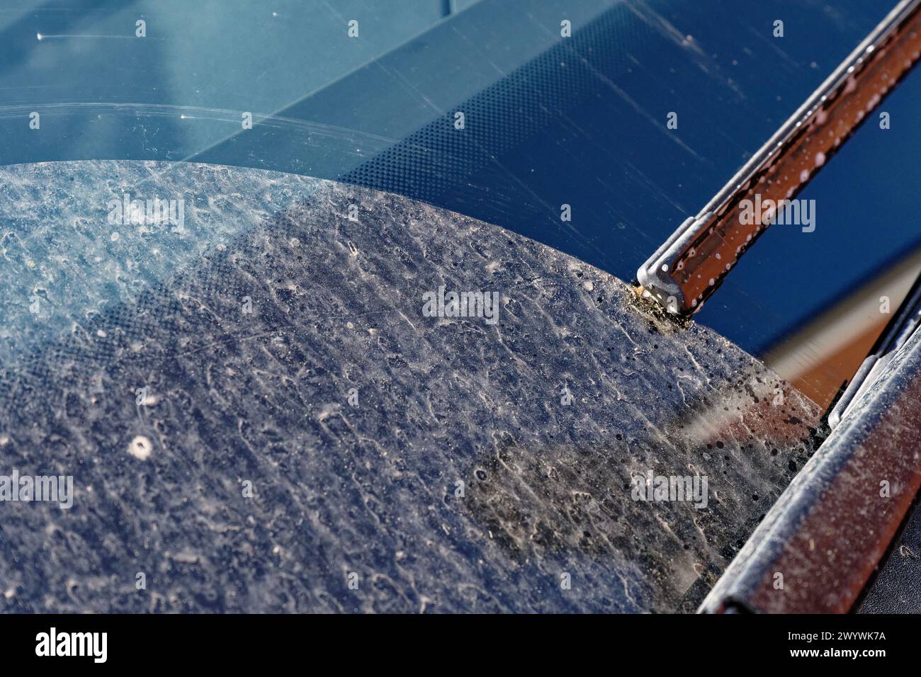 Cologne, Germany. 08th Apr, 2024. Saharan dust covers the surface of a ...
