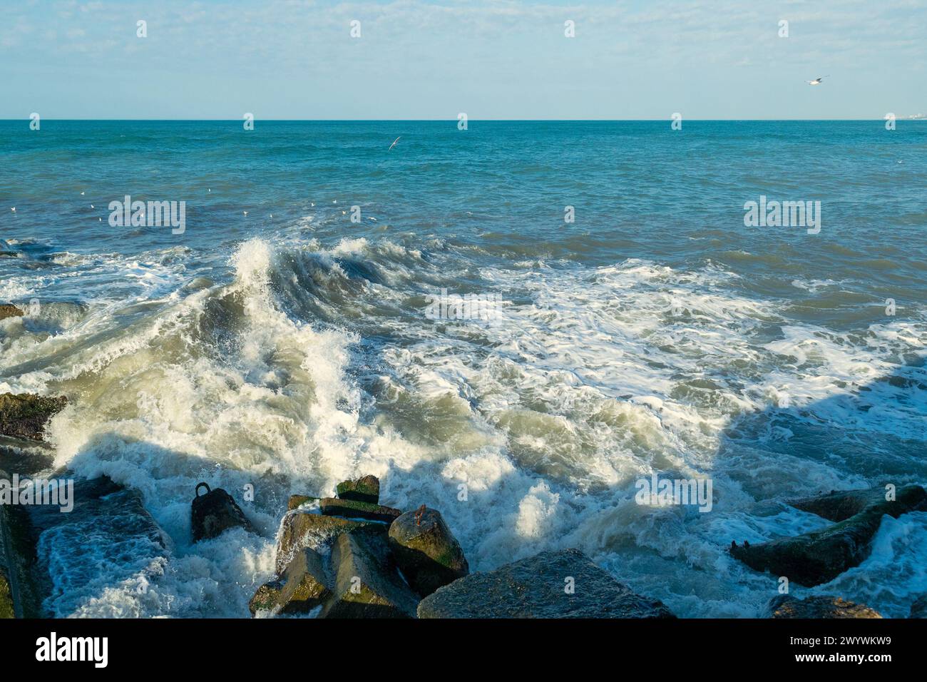 Waves crash on breakwaters. Splashes of water, drops, splash. Marine ...