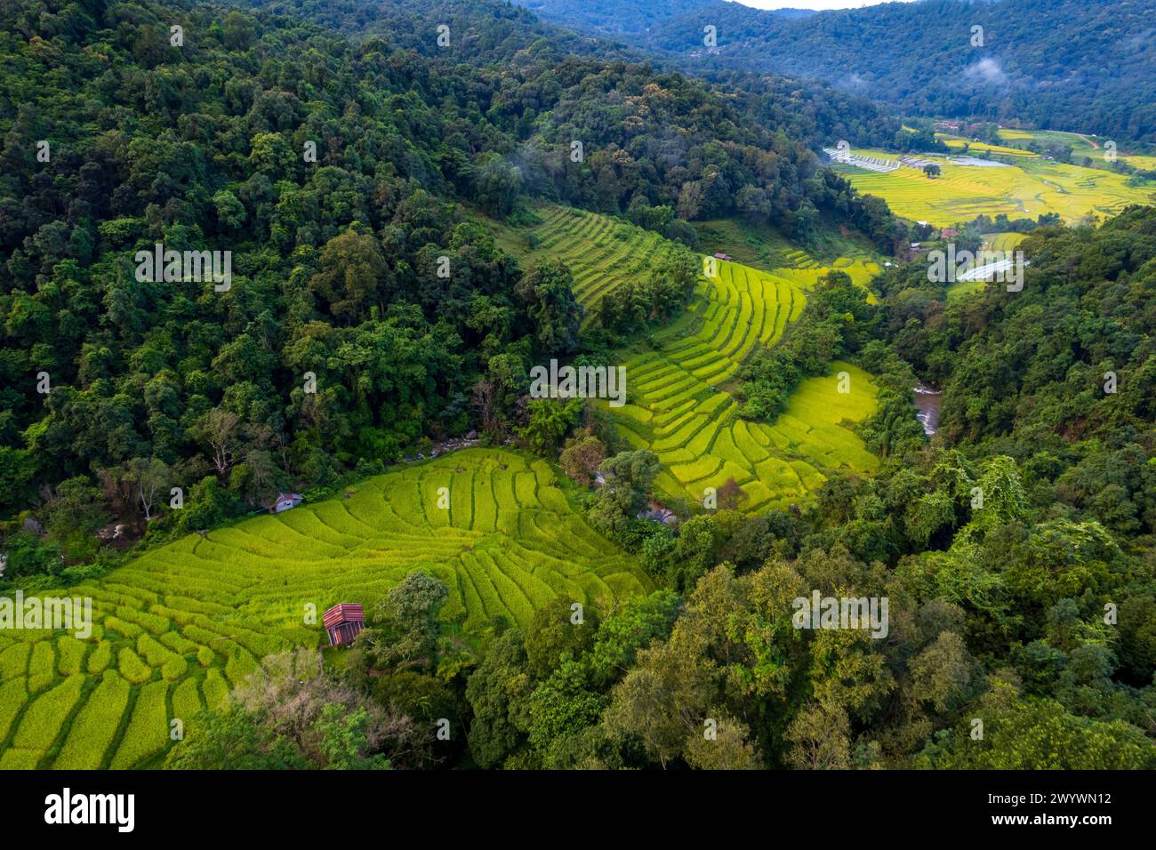 Aerial drone shot of the terraced ricefield in the Mae Klang Luang ...