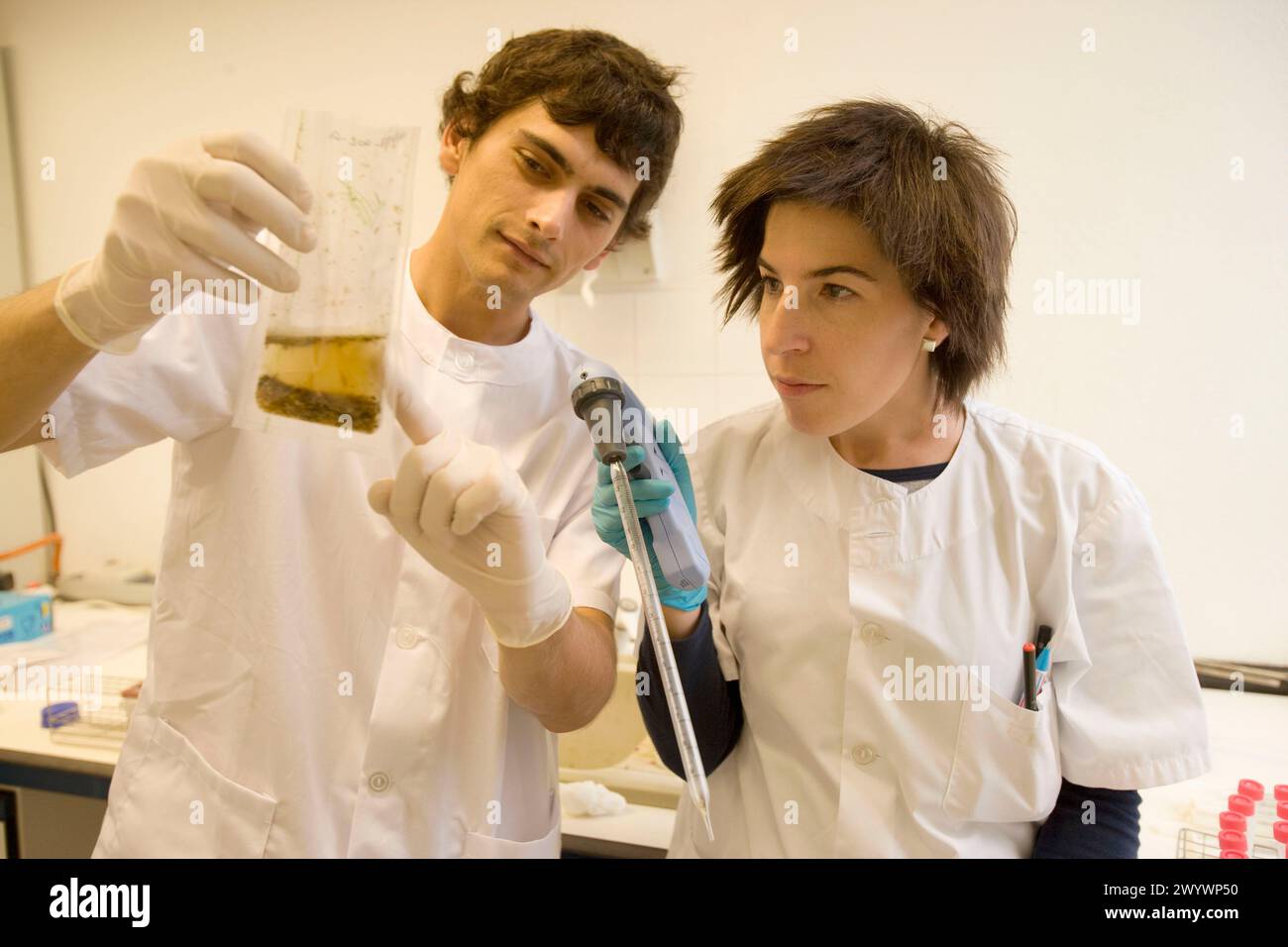 Homogenized sample for bacteria cultivation, Laboratory of Bacteriology ...