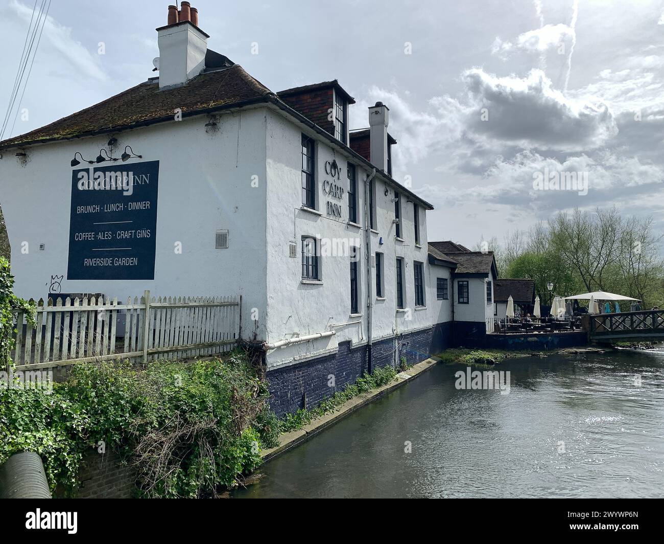 Coy carp inn hi-res stock photography and images - Alamy