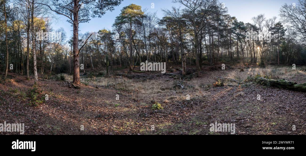 Moody panoramic image with steps and spring trees at Keston Common ...
