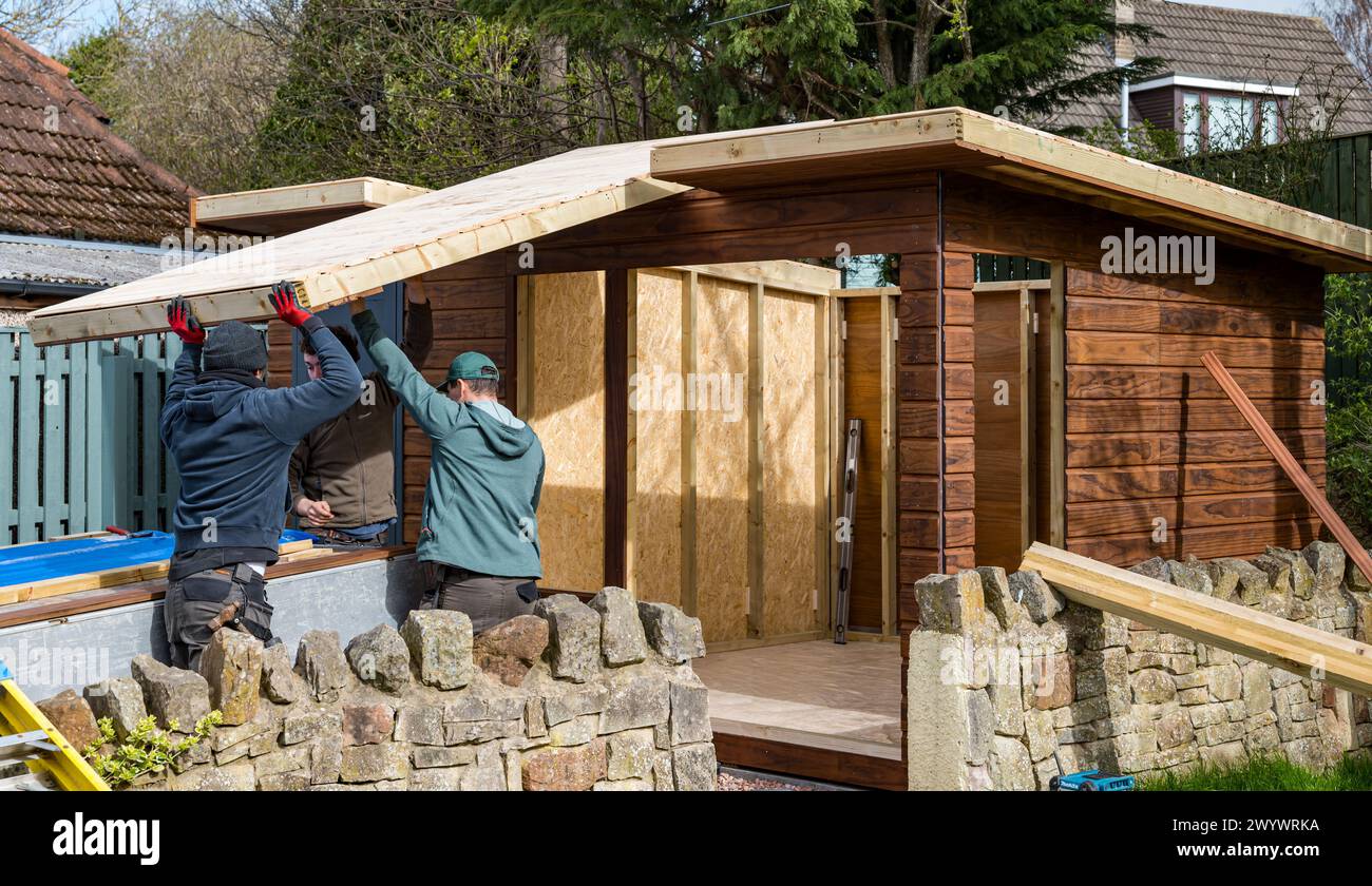 Joiners and workmen fitting a roof to construct a shed and garden room ...
