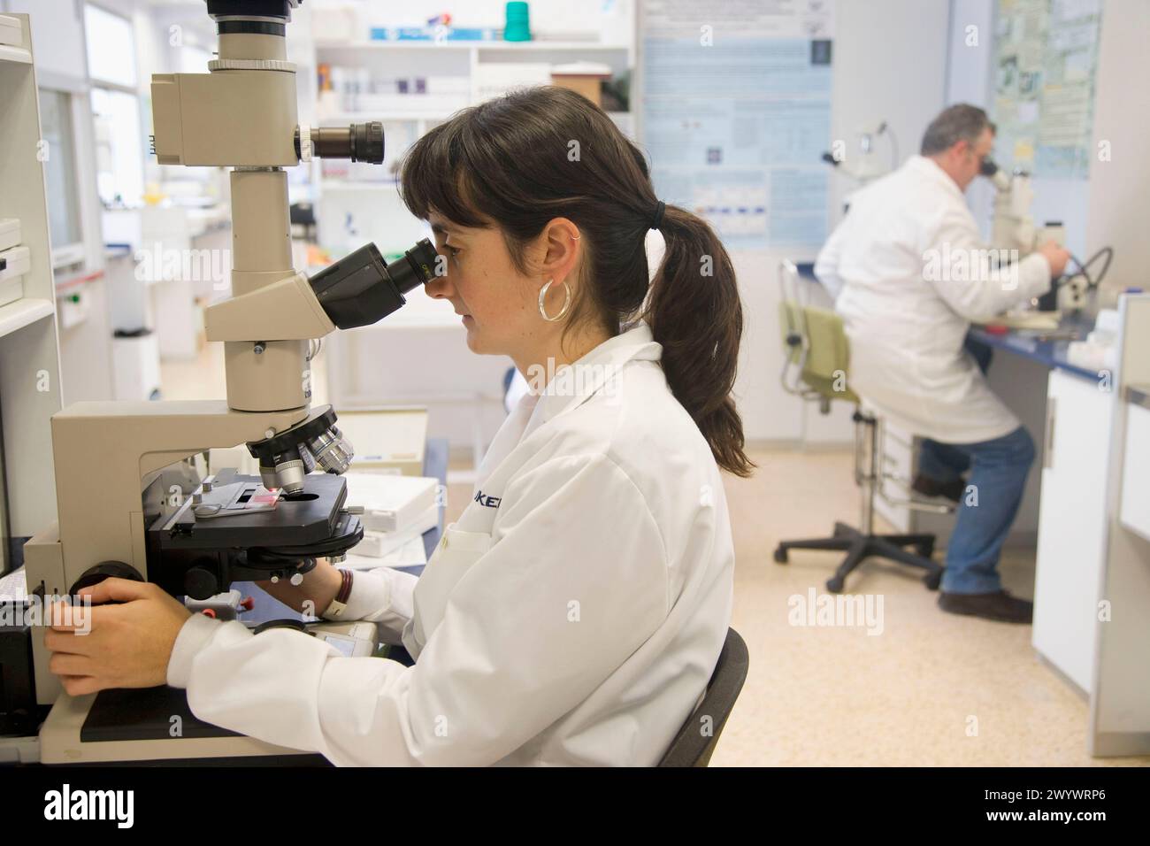 Investigacion desarrollo hi-res stock photography and images - Alamy