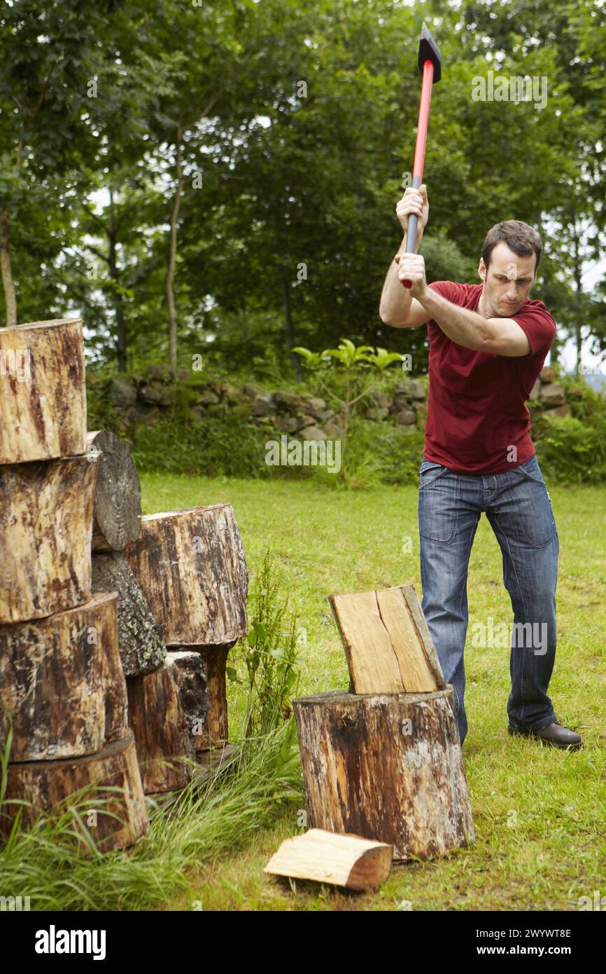 Cutting wood with splitting axe, hand tool, farming, Guipuzcoa, Basque ...