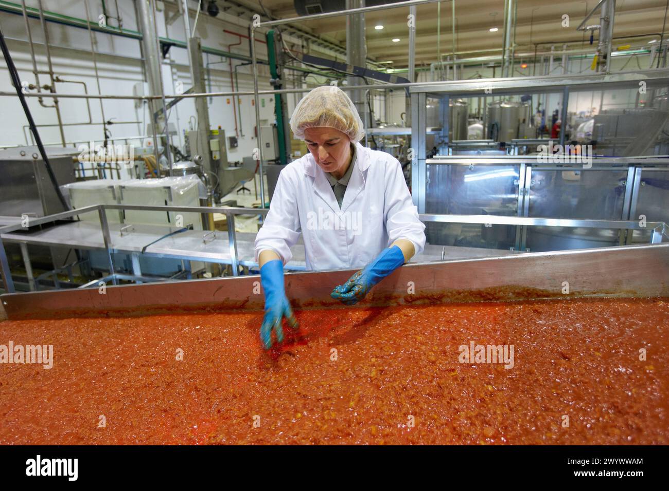 Production line of canned vegetables and beans in glass bottle, Cooked ...