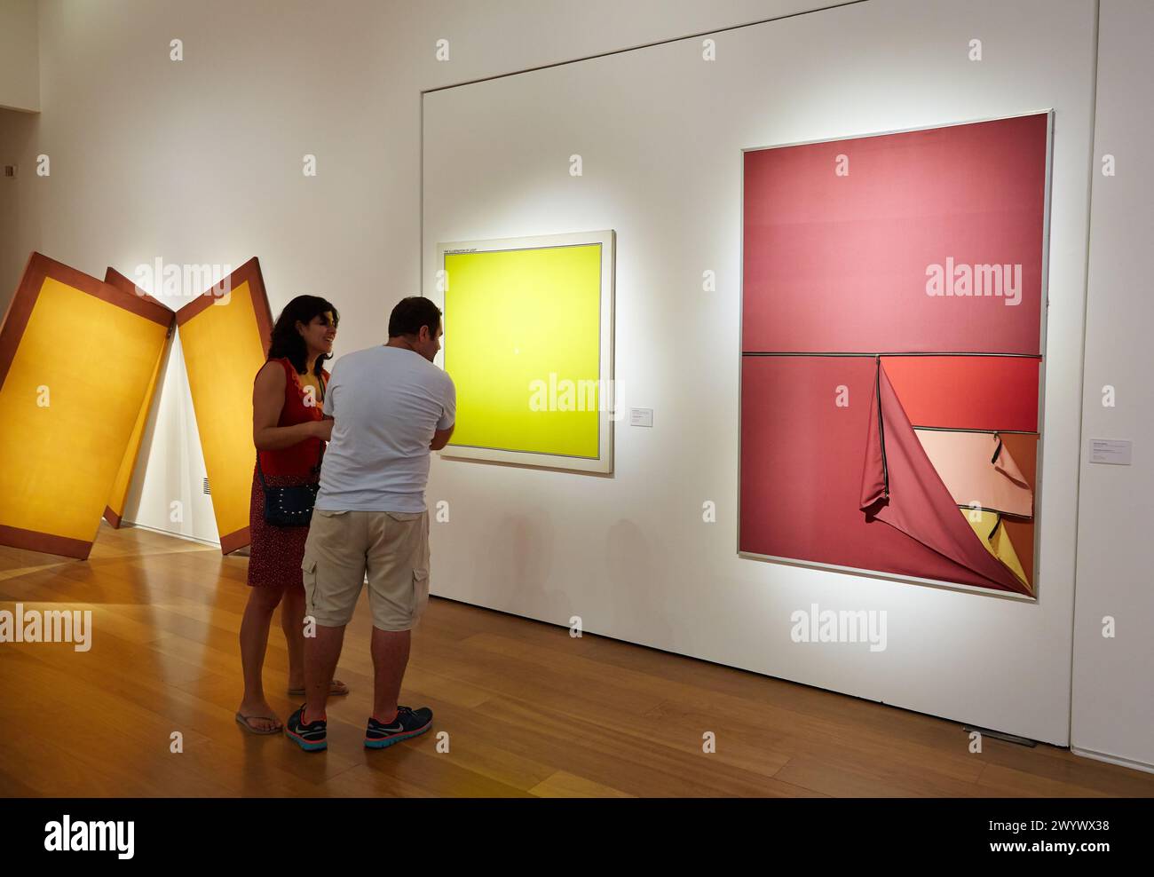 Museo de Arte Latinoamericano de Buenos Aires. MALBA. Fundación ...