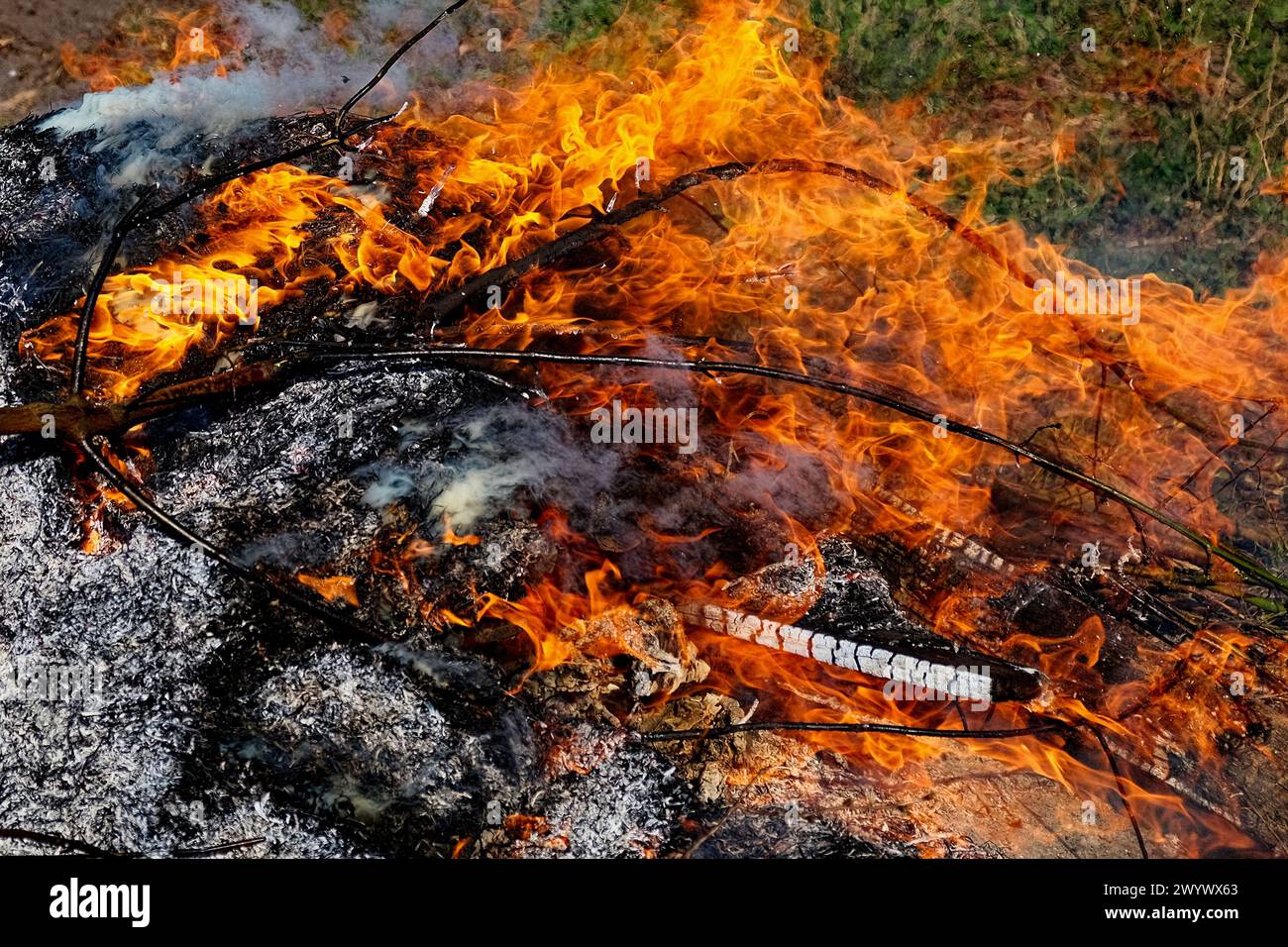 There is visible ash surrounding the base of the fire indicating ...