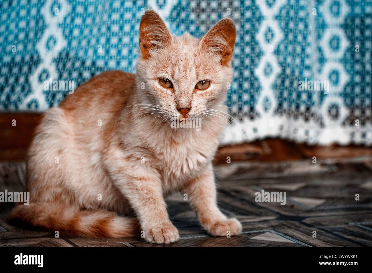 Exudes calmness hi-res stock photography and images - Alamy