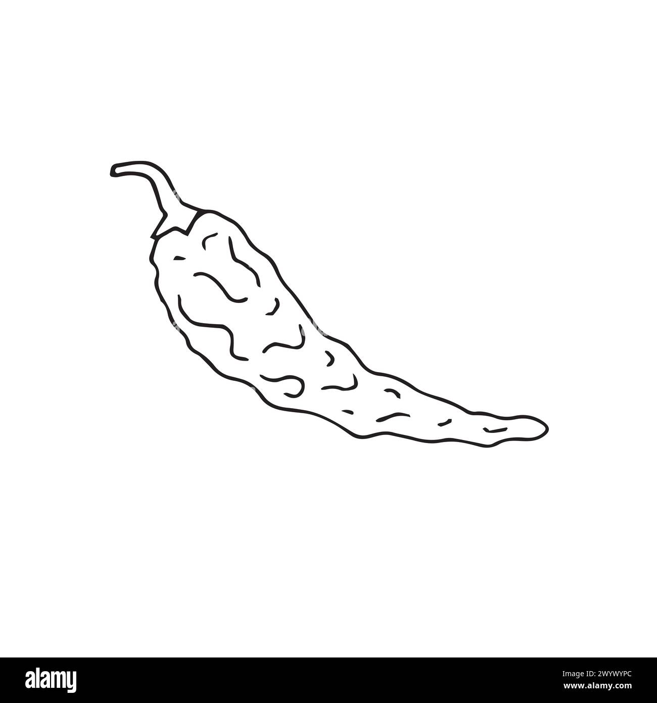 Vector hand drawn doodle sketch dried chili pepper Stock Vector Image ...