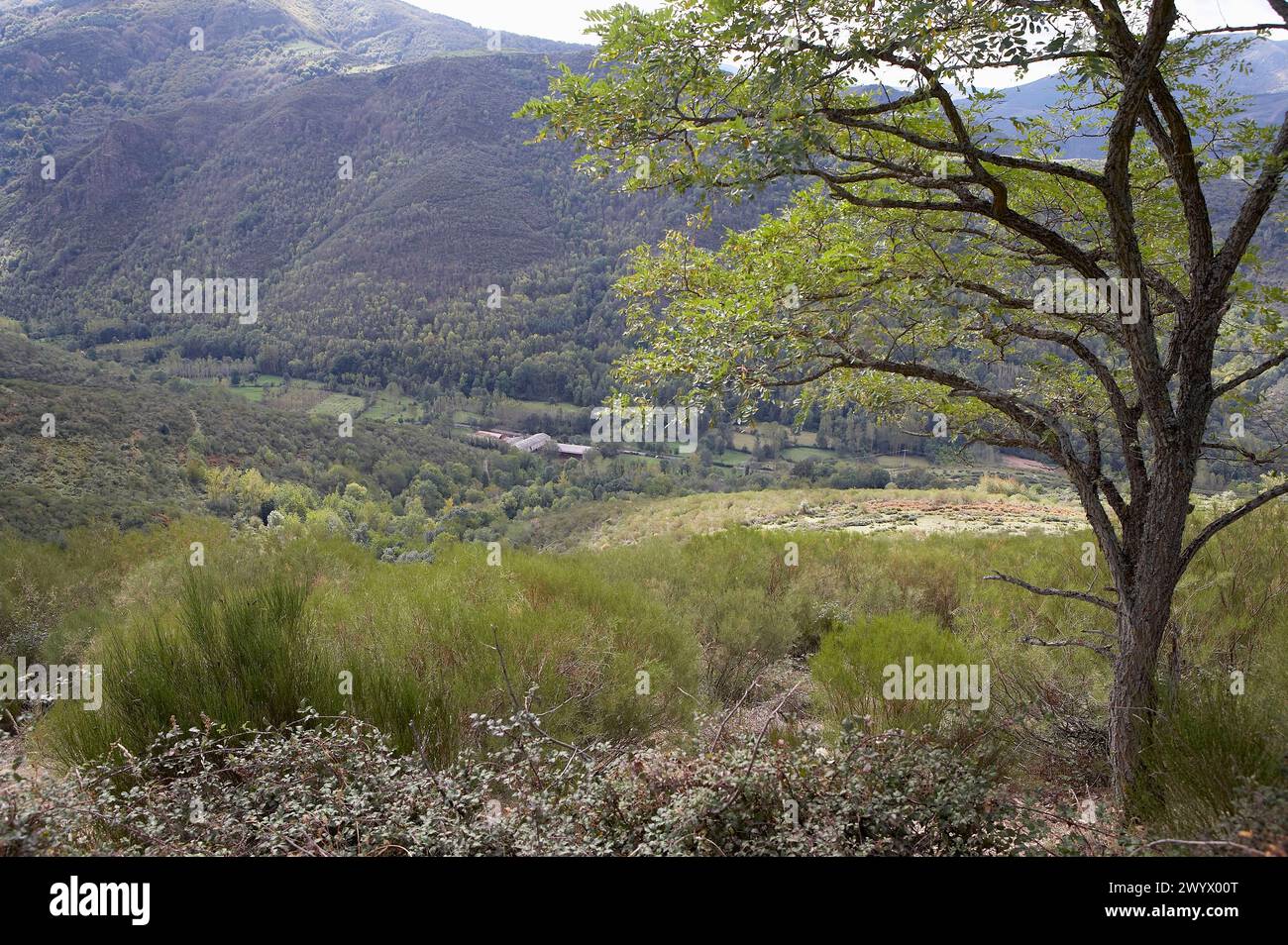 Sierra de la Demanda. Pico San Lorenzo. Road to Valdezcaray. Urdaneta ...