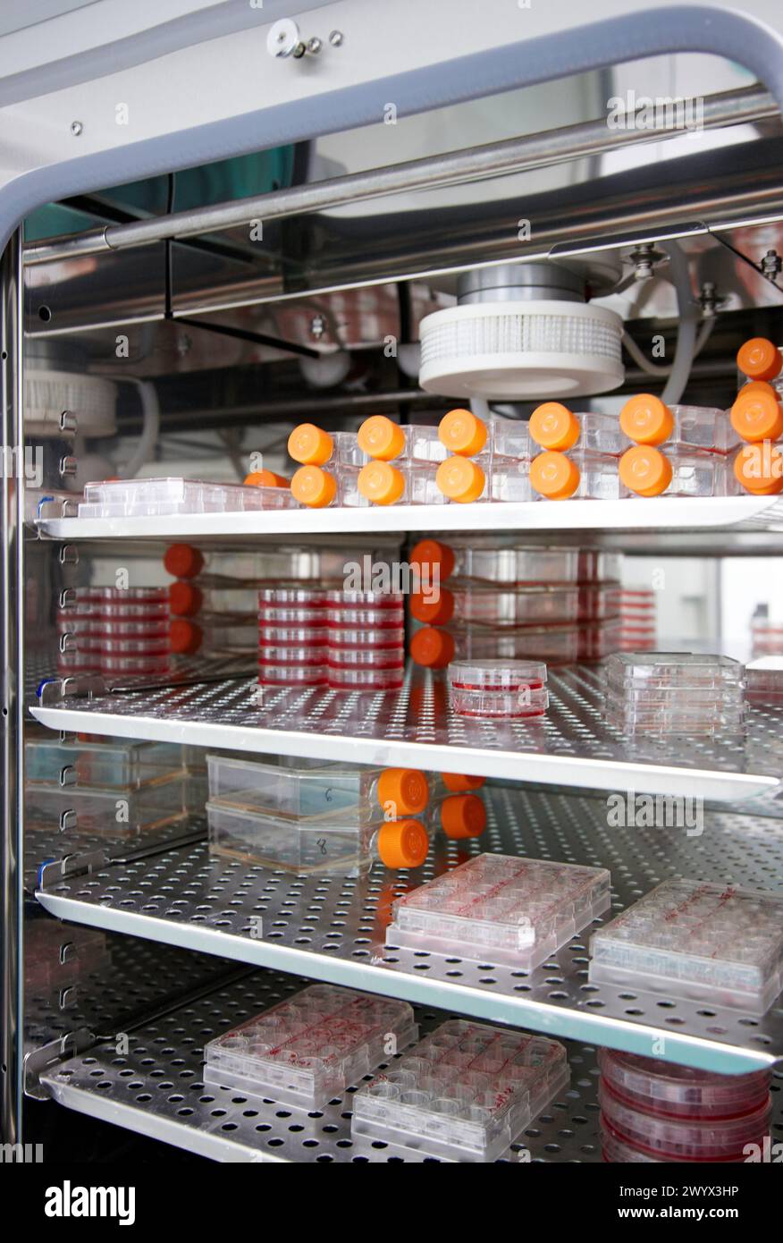 Incubator cell culture unit research hi-res stock photography and ...