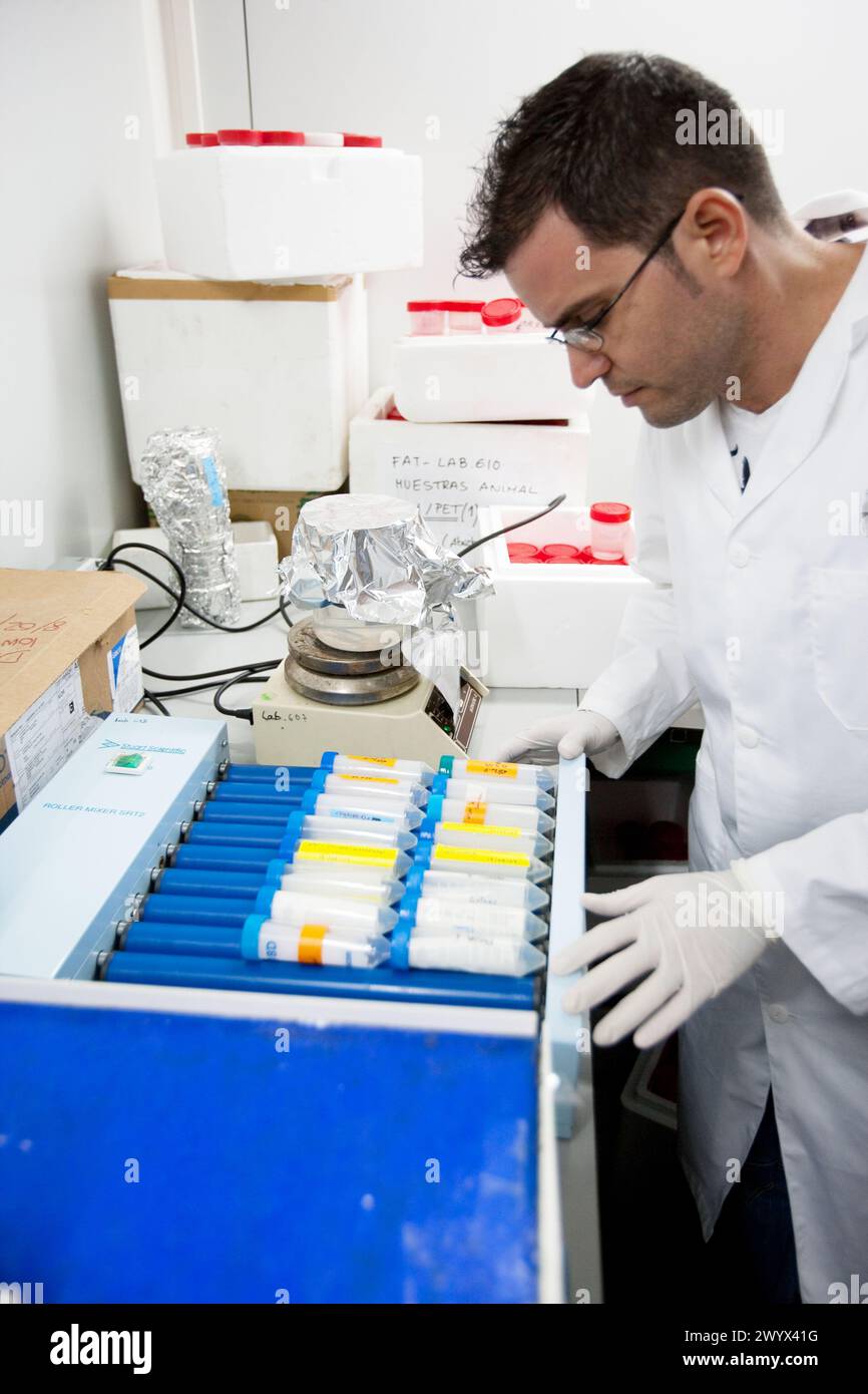 Department brain ischemia neurodegeneration iibb hi-res stock ...