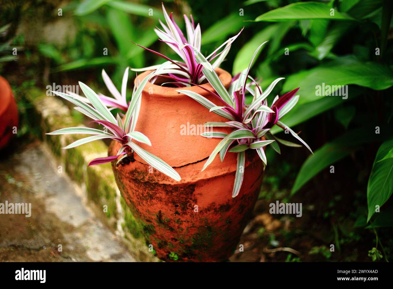 Broken pot garden hi-res stock photography and images - Alamy