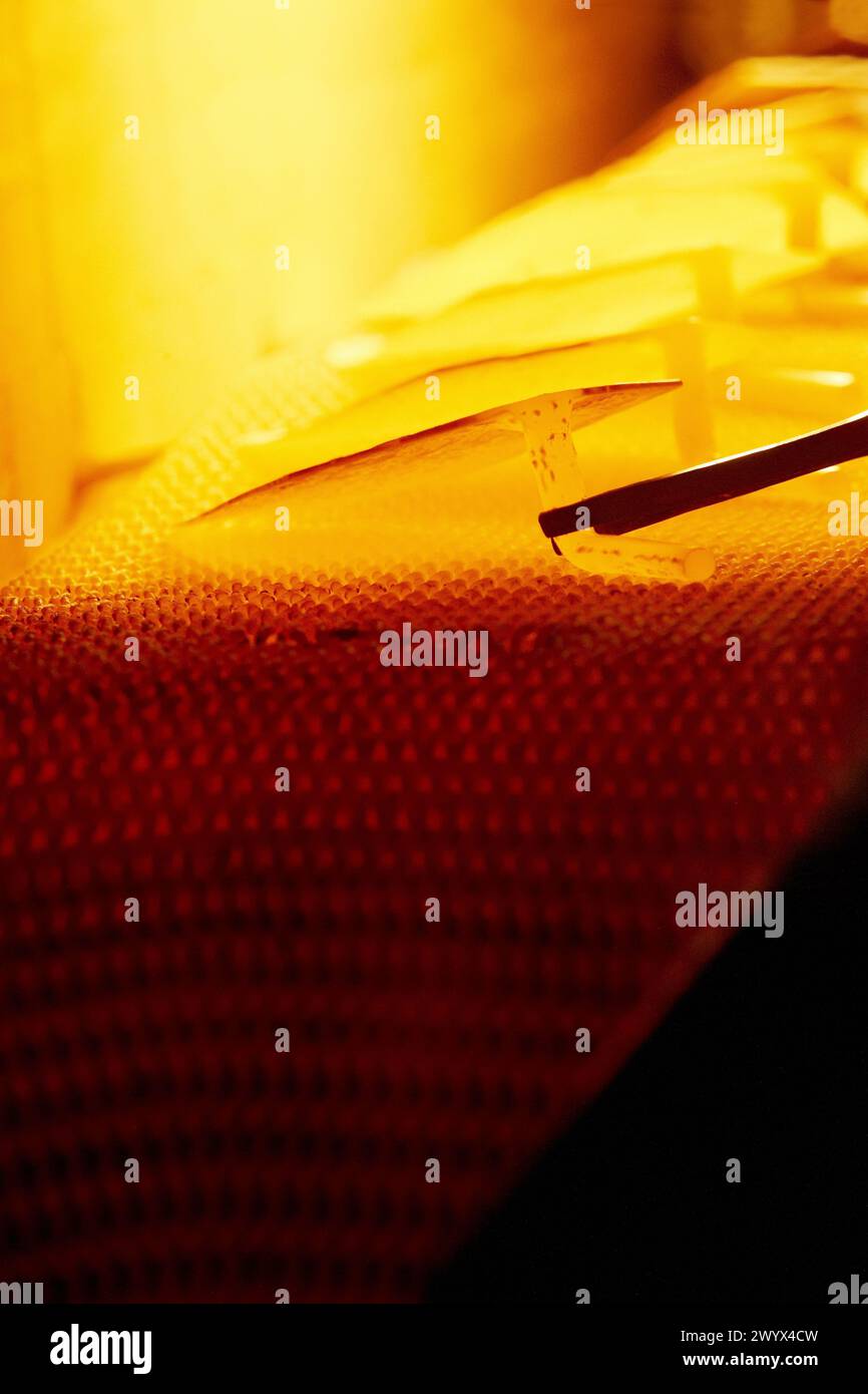 Heat treatment processes hi-res stock photography and images - Alamy