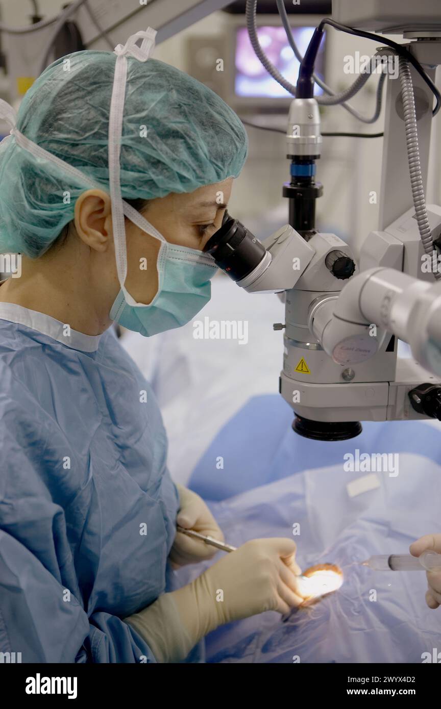 Cataract operation, ophthalmology operation room. Hospital de Zumarraga ...