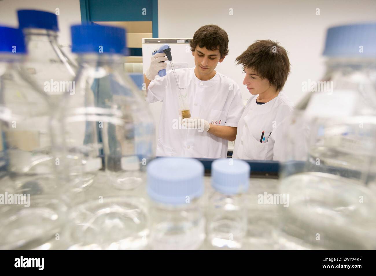 Homogenized sample for bacteria cultivation, Laboratory of Bacteriology ...