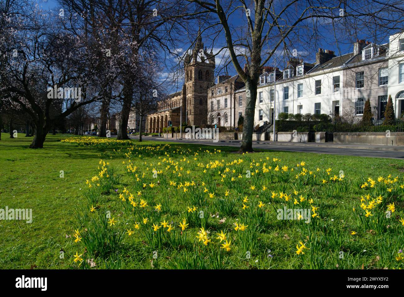 Spring Flowers in Perth, Scotland Stock Photo - Alamy