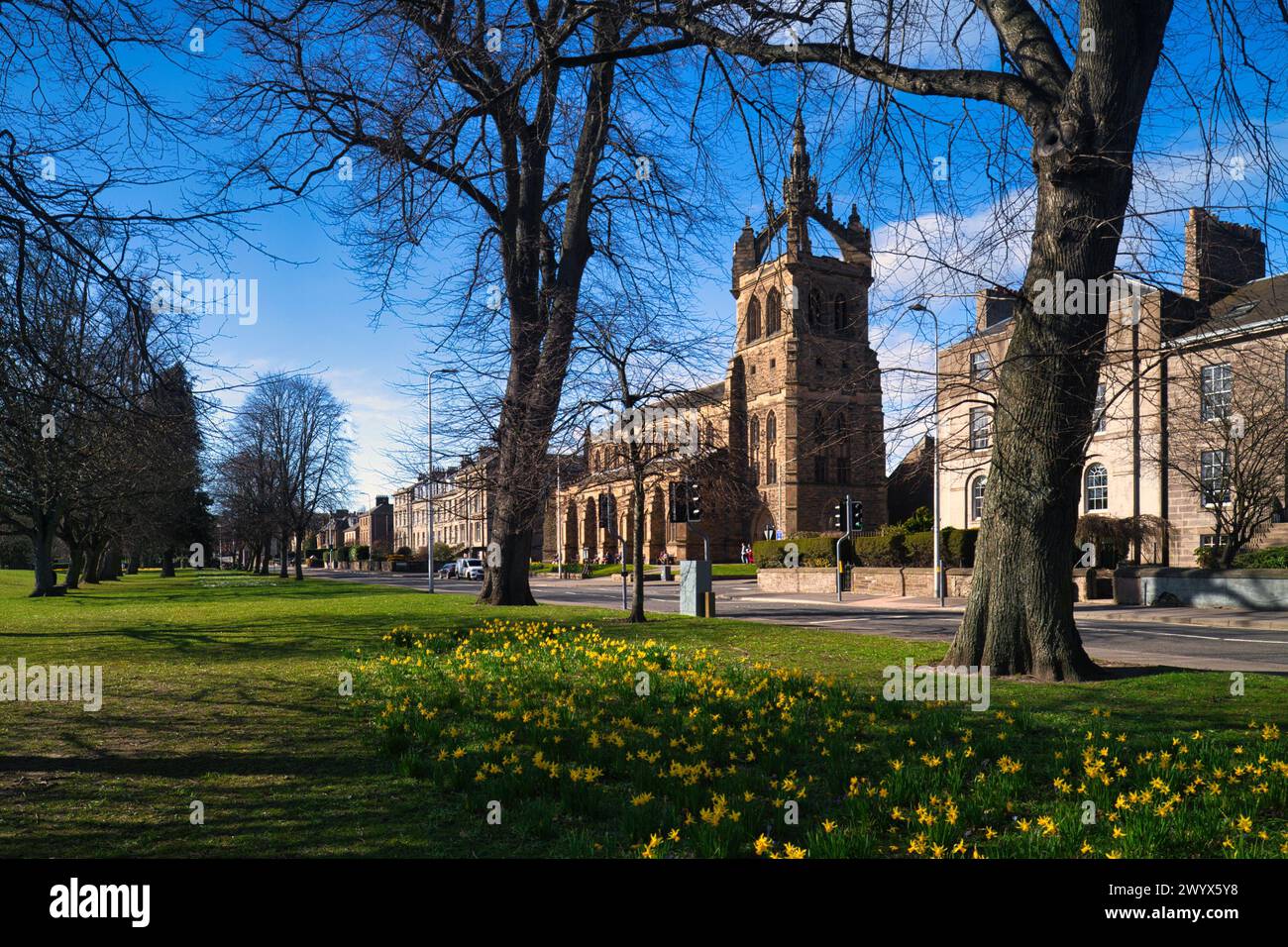Spring Flowers in Perth, Scotland Stock Photo - Alamy