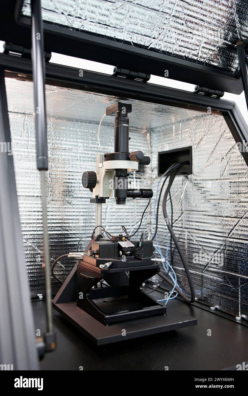 Afm microscopy hi-res stock photography and images - Alamy