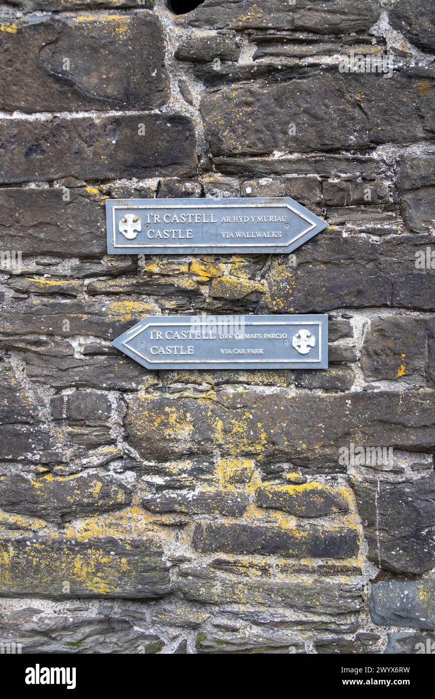 Wall of the conwy castle hi-res stock photography and images - Alamy