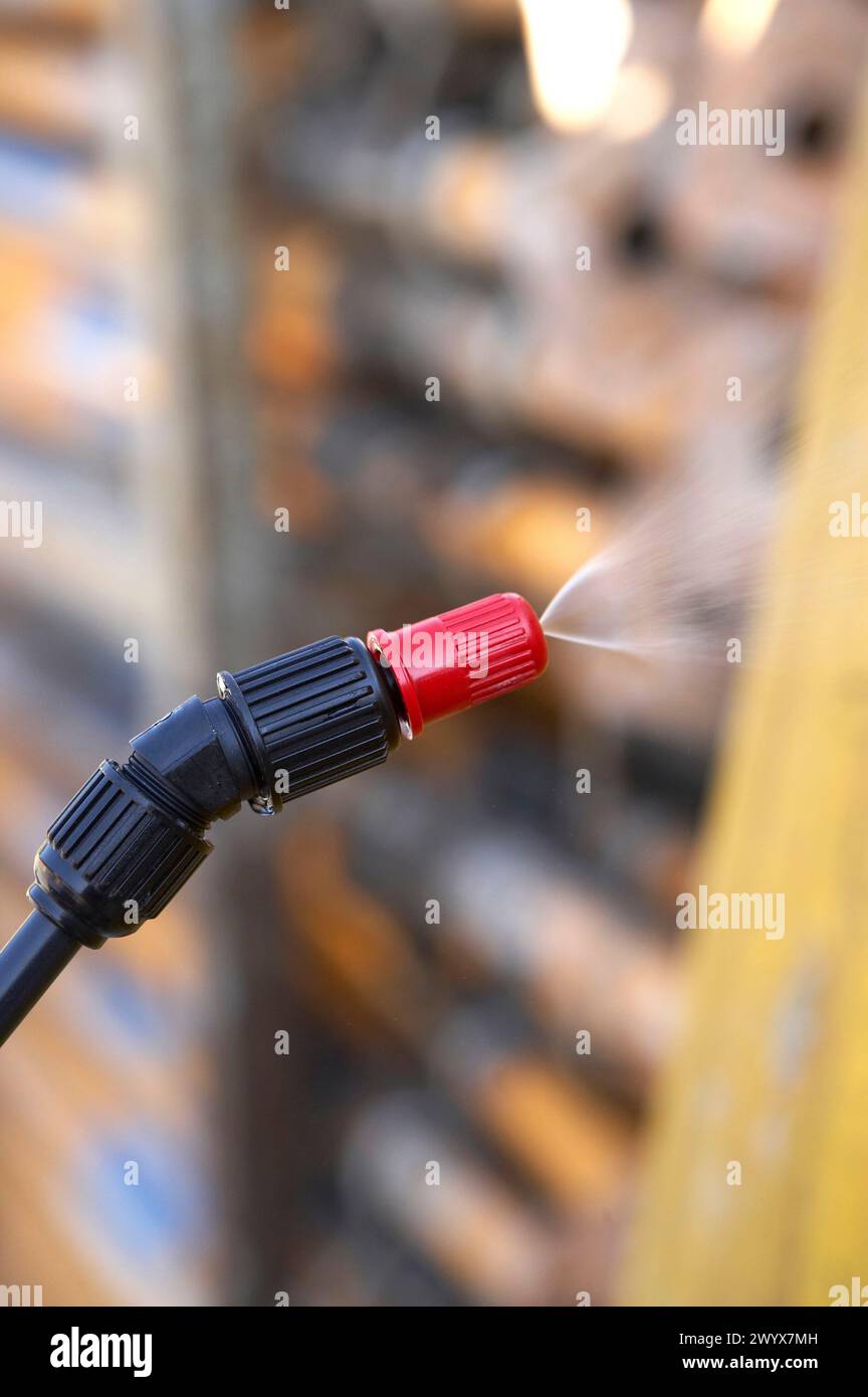 Applying form release agents with sprayer, concrete formworks Stock ...