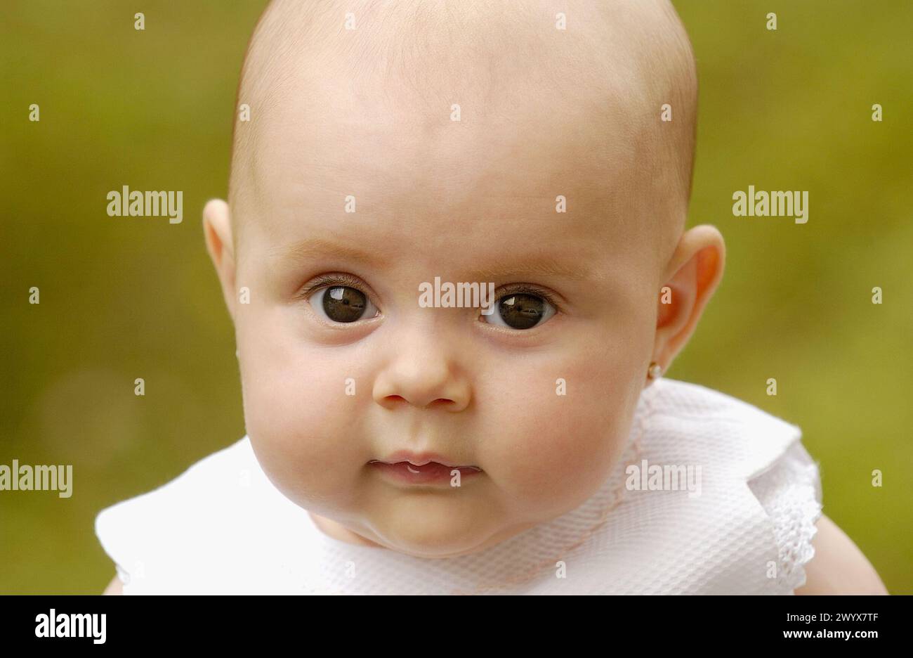 Six months old baby Stock Photo - Alamy