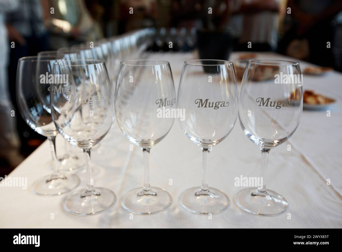 Wine tasting, Muga winery, Haro, La Rioja, Spain Stock Photo - Alamy